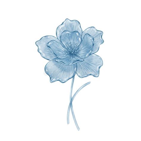 Blue Flower Drawing
