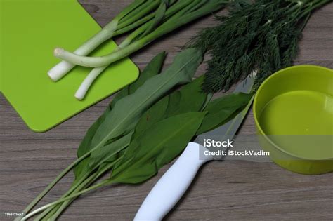 테이블 위에 신선한 채소 들이 깔끔하게 배치 되었습니다 향기로운 양파 딜 및 야생 마늘 샐러드 마 부엌 칼 용 용기 근처 0명에 대한 스톡 사진 및 기타 이미지 Istock