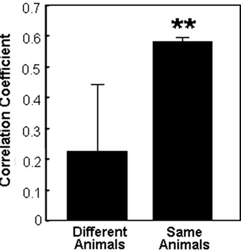 Comparison Of Genome Wide Expression Patterns For C Albicans Ngy152 Download Scientific