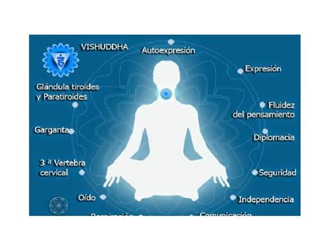 Quinto Chakra Vishuddha Pdf