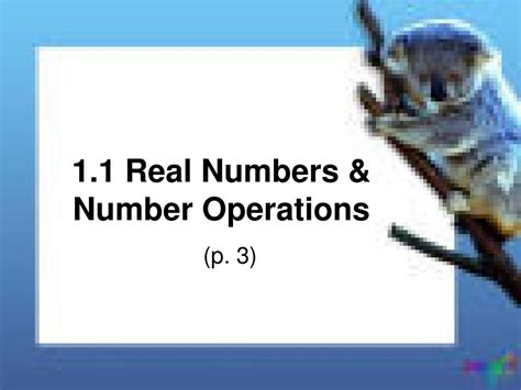 ppt 1 1 real numbers and number operations powerpoint presentation id