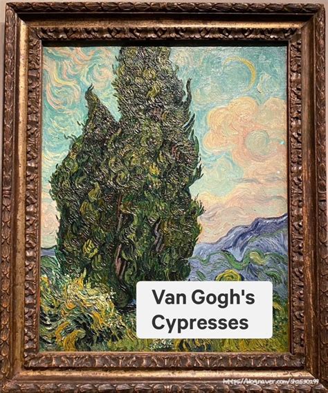 뉴욕여행[메트로폴리탄미술관의 반고흐 Van Gogh 사이프러스 Cypresses 전시] 네이버 블로그