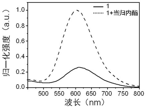 含有二酮单元的生物正交铱配合物探针及其制备和应用
