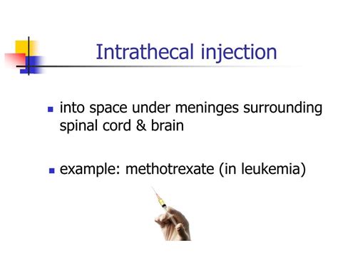 Function Of Intrathecal Injection At Robert Parsley Blog