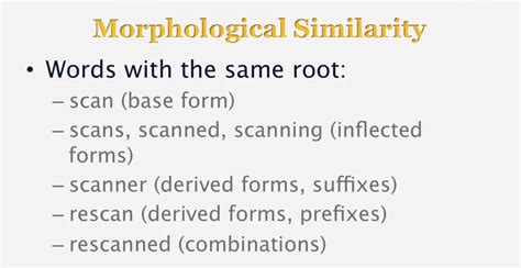 Nlp Morphological And Spelling Similarity By Dharti Dhami Medium