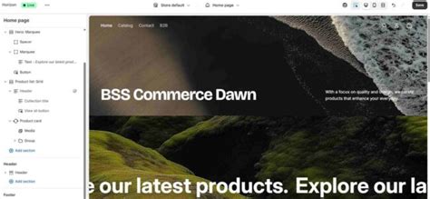 Shopify Basic Plan Pricing 2025 Cost Features New Updates