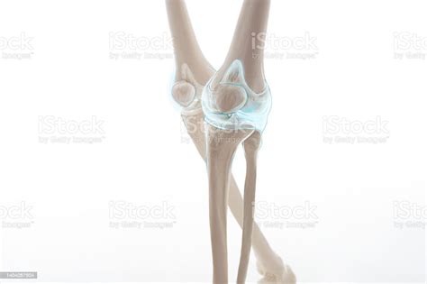 Photo Libre De Droit De Douleur Osseuse Et Musculaire Du Cartilage Du