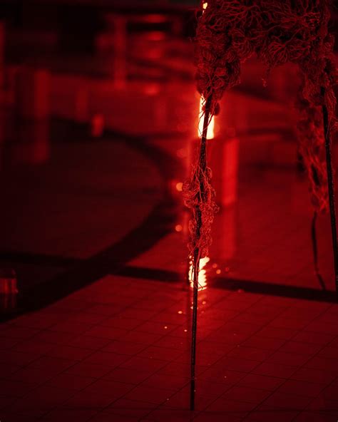 Manifesto As Part Of The Noor Riyadh Festival Manifesto Manages The Artist Liaison For The