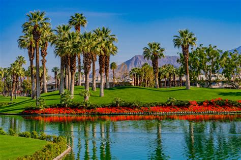 레드 카네이션 선 그린 벨트와 팜 스프링스 캘리포니아 에서 사막에 대한 스톡 사진 및 기타 이미지 사막 주거 건물 캘리포니아 Istock