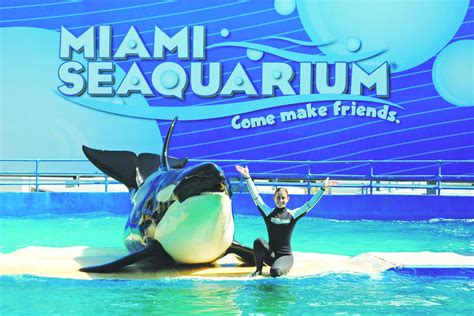SALE Get 19 Off Miami Seaquarium Tickets Limited Time Offer