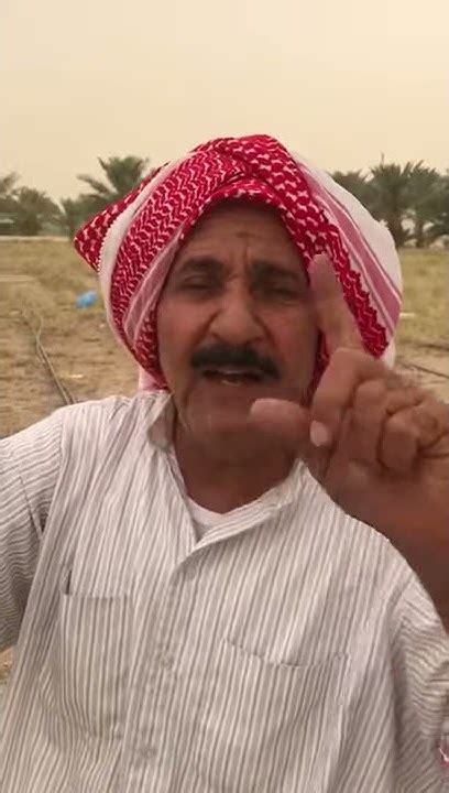 طير الابابيل Youtube