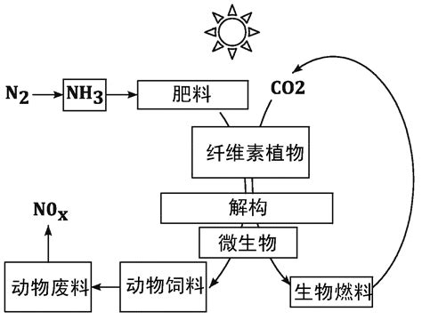 Biofuel And Chemical Production By Recombinant Microorganisms Via Fermentation Of Proteinacious