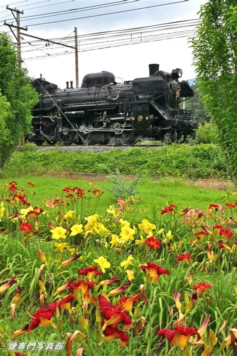 煙専門写真館 ユリの花園 秩父鉄道