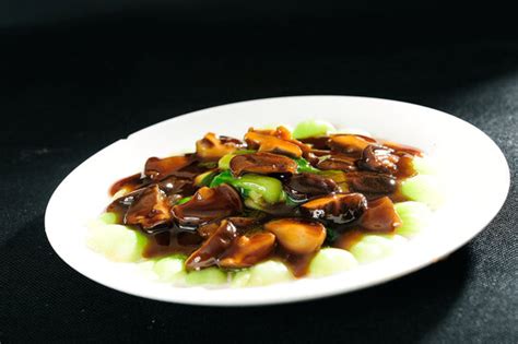香菇青菜图片素材 香菇青菜设计素材 香菇青菜摄影作品 香菇青菜源文件下载 香菇青菜图片素材下载 香菇青菜背景素材 香菇青菜模板下载 搜索中心