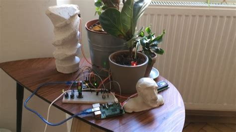 I Made A Plantbot To Monitor My Plant Friends How Could I Measure