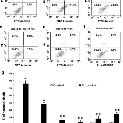Effects Of Metformin Csa And Nac On Etoposide Induced Neuronal Death