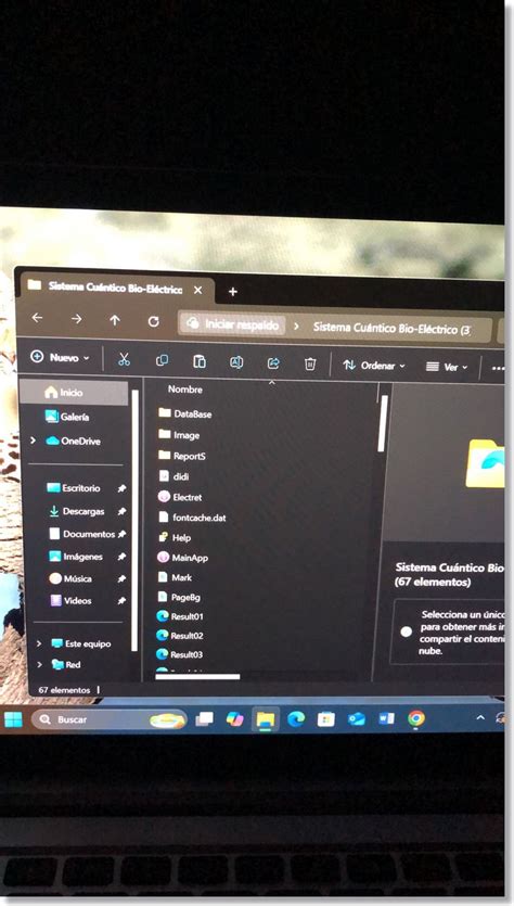2024 11 28 Ecuador Bryan Need Spanish Quantum Analyzer Machine Downlaod