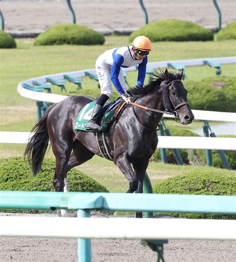 【アンタレスs】1番人気テーオーケインズが重賞初制覇 5戦ぶりjra出走のロードブレスが3着 スポーツ報知