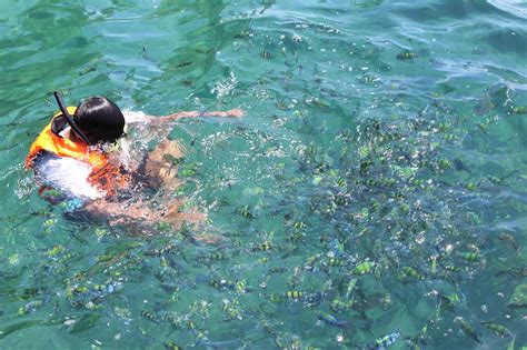 Diving Scuba Krabi Free Photo On Pixabay