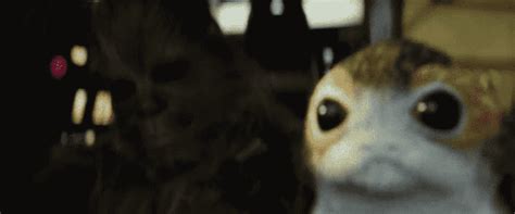 原力无处不在 Porg的花式“吃”法
