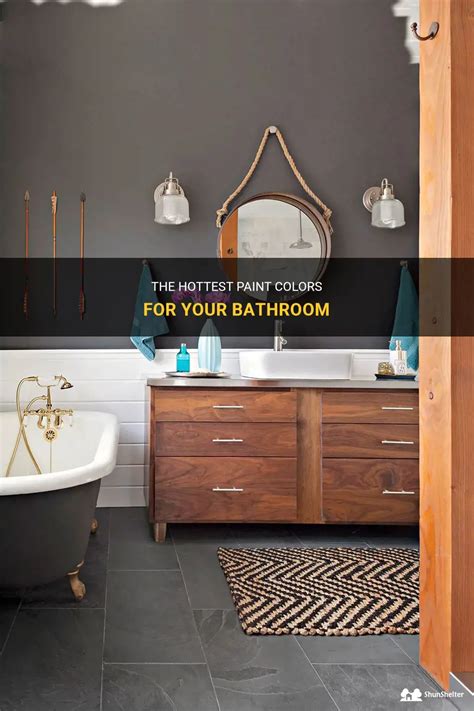 The Hottest Paint Colors For Your Bathroom ShunShelter