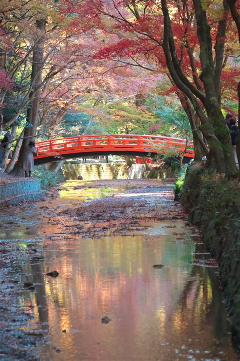 By Wanpeace Id Photohito