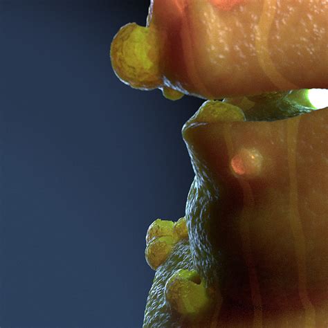 Experimentation In SideFX Houdini Behance