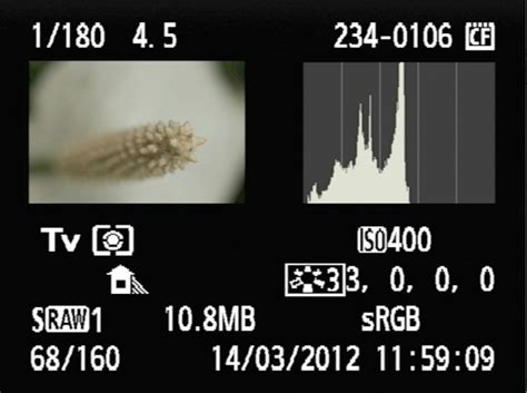 best way to learn about exposure exposure and the histogram envato tuts