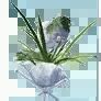 Coral Shine Sand Conch Pot - Item | Black Desert Online Database