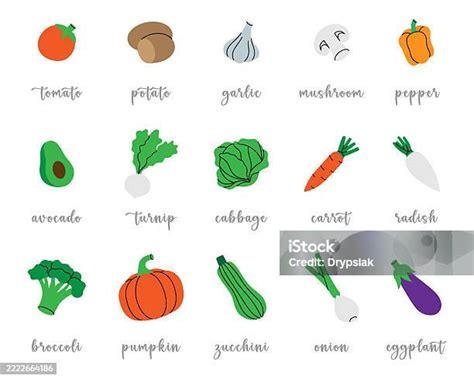 신선한 야채 세트 고추 당근 토마토 버섯 피망 아보카도 호박 브로콜리 양배추 순무 가지 가지 채소에 대한 스톡 벡터 아트 및 기타 이미지 Istock