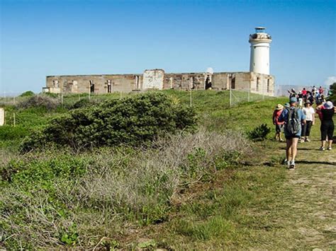 Point Stephens Lighthouse And Fingal Island Nsw Government