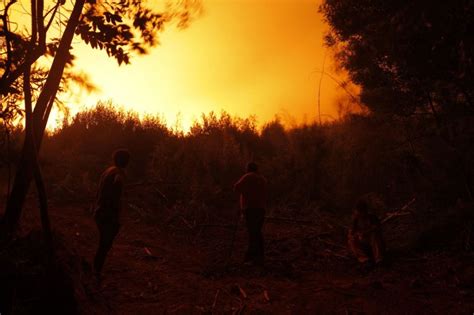 Los Incendios De Chile En Fotos 24 Muertos 1000 Heridos Y 800 Casas