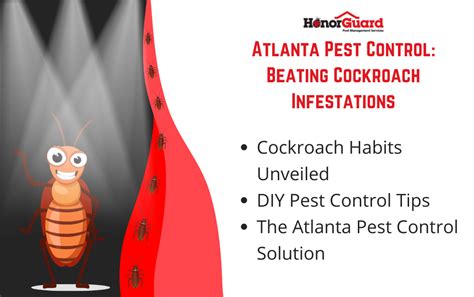Atlanta Pest Control Beating Cockroach Infestations Honor Guard