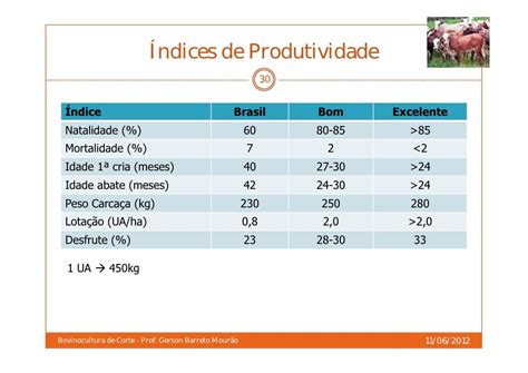 Introdução Zootecnia Bovinocultura De Corte 2012