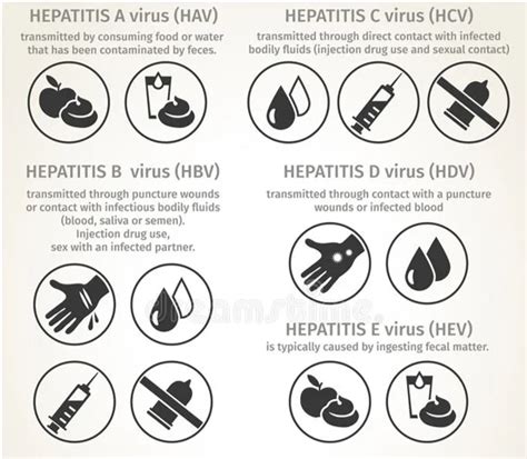 Viral Hepatitis Modes Of Transmission And Prevention