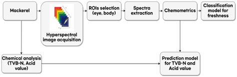 Workflow Of Chemometrics For The Development Of A Classification And