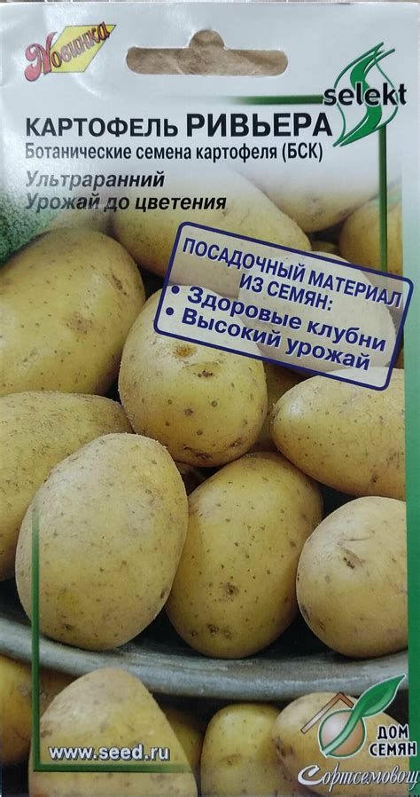 Купить сортовую картошку на посадку — купить по низкой цене на Яндекс Маркете