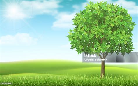 Sky And Grass Tree Background