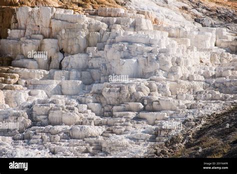Mammoth Hot Springs Yellowstone National Park Wyoming Usa Stock