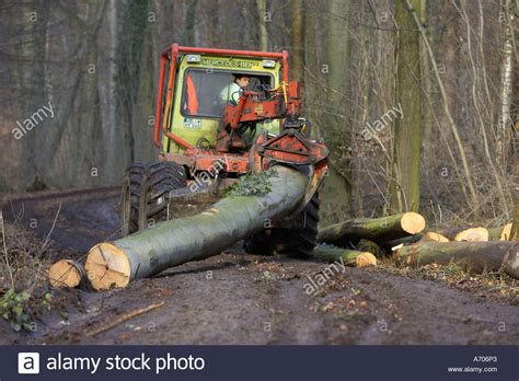 DEU Federal Republic Of Germany Woodman At Work Stock Photo Alamy