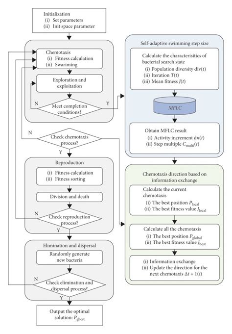 The Description Of The Scbfo Algorithm Download Scientific Diagram
