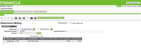 How To Use Pinnacle Guide To Billing Information Technology Services