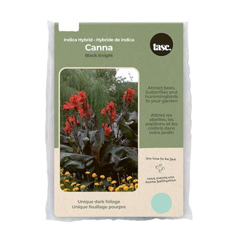 Tasc Flower Bulbs Tulip Assorted 20 Bulbs The Home Depot Canada