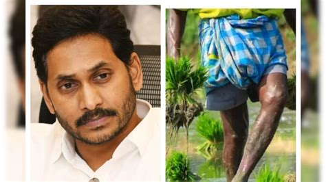 Andhrapradesh రైతులకు సర్కార్ గుడ్ న్యూస్ఈనెలలోనే అకౌంట్లో డబ్బులు జమ