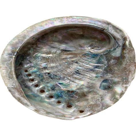 Abalone Shell Home Interiors Retailer Liverpool Merseyside