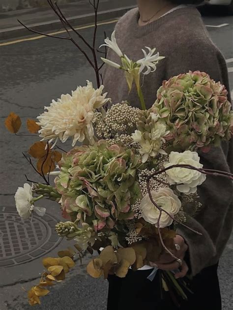 21 Matitas Ideas Planting Flowers Indoor Plants Plants