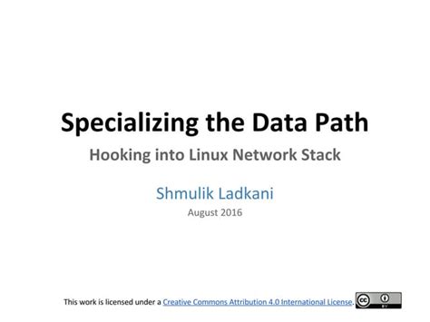 Specializing The Data Path Hooking Into The Linux Network Stack Pdf