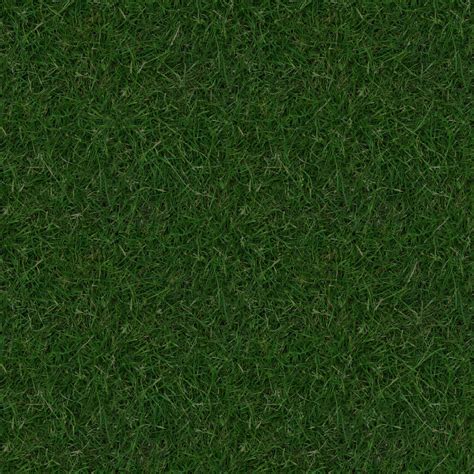 Seamless Dark Grass Texture