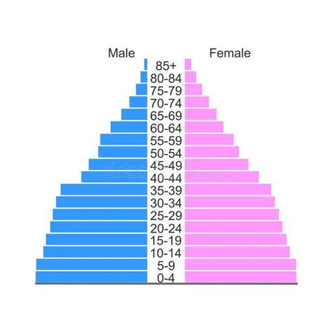 Population Pyramid Or Age Structure Diagram Template Isolated On White
