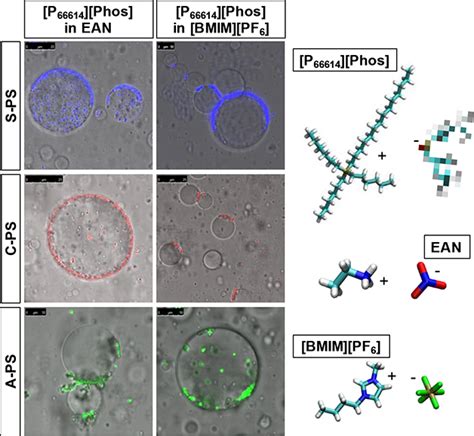 Ionic Liquids In Multiphase Systems IntechOpen
